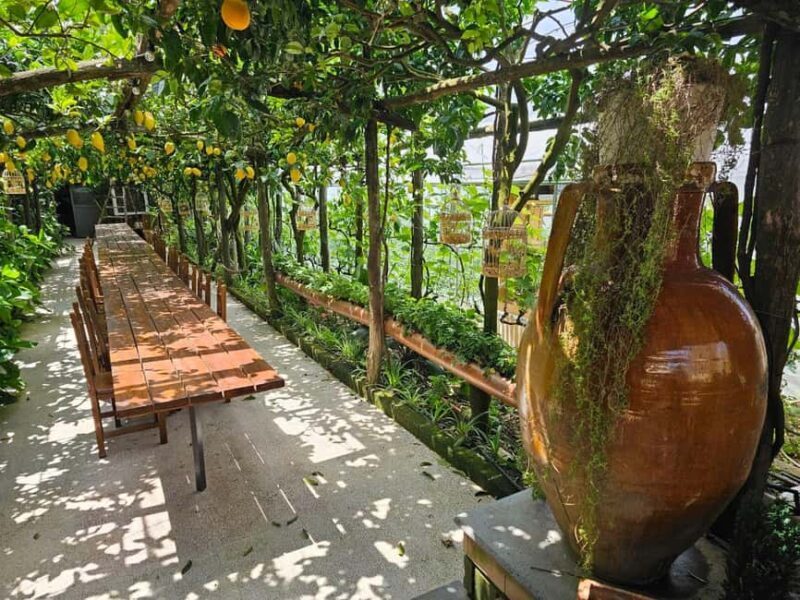 Sorrento Coast E-Bike Tour and Visit at Vinegar Cellar - An Authentic Ride Through the Sorrento Countryside
