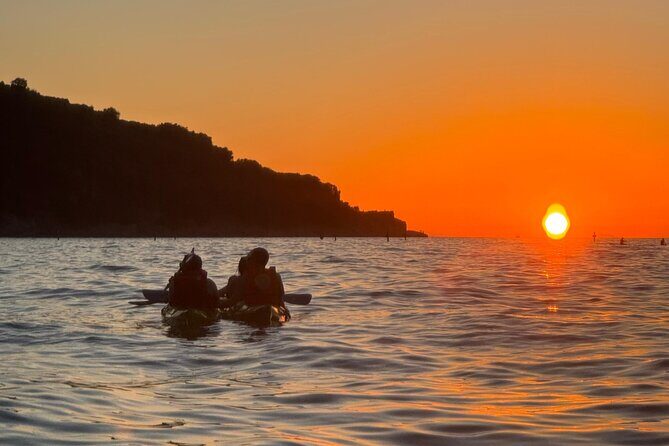 Sorrento Coastline Kayak Tour and Free 1h Stand Up Paddleboarding - How the Price Reflects Value