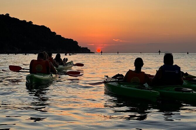 Sorrento Coastline Kayak Tour and Free 1h Stand Up Paddleboarding - Practical Tips for Participants