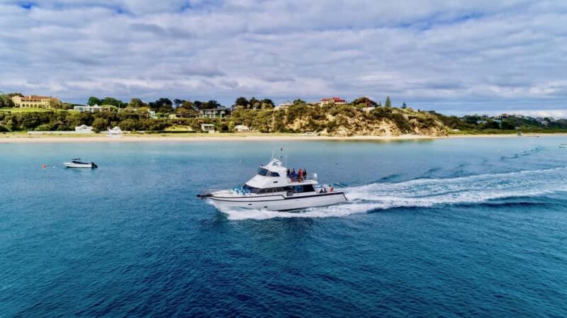 Sorrento: Dolphins & Seals Snorkeling Cruise w/ Lunch - Enjoying Food and Relaxation