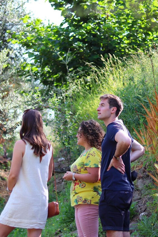 Sorrento: Guided Olive Mill Visit with Tastings - The Sum Up: Is It Worth It?