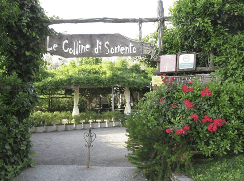 Sorrento: Lemon Garden Guided Tour with Tastings - Key Points