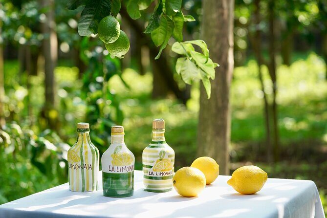 Sorrento Lemon Grove Experience with Local Product Tasting - Key Points