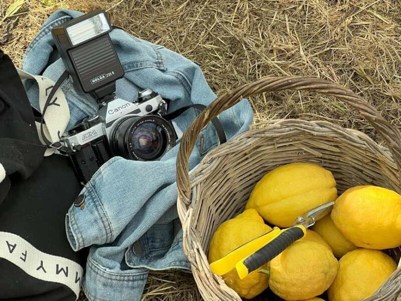 Sorrento: Lemon Picking Tour with Limoncello Tasting - Discovering the Lemon Farm: What to Expect