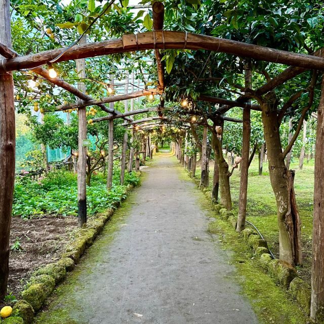 Sorrento Lemon Tour - Key Points