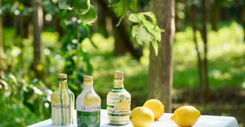 Sorrento Lemon Tour - Who Will Love This Tour?