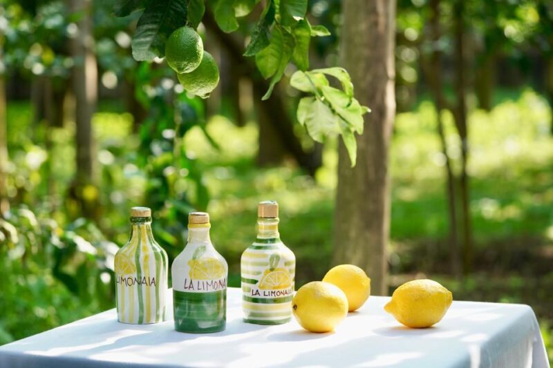 Sorrento Lemon Tour - Final Thoughts: Is it Worth It?