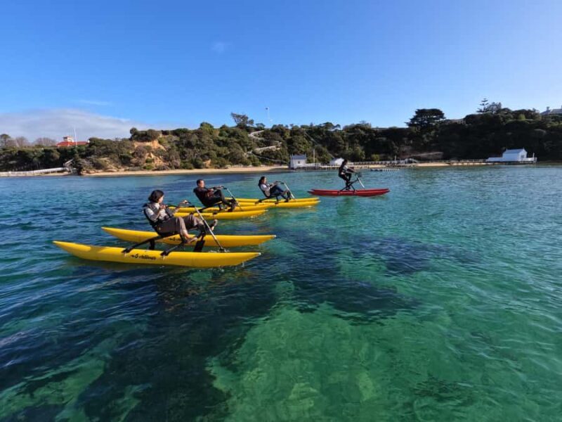 Sorrento, Mornington Peninsula Waterbike Tour - Key Points