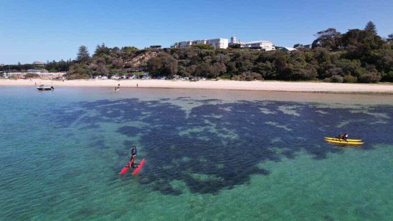 Sorrento, Mornington Peninsula Waterbike Tour - The Sum Up