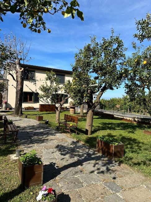 Sorrento: Mozzarella experience. Say CHEESE with us! - The Sum Up