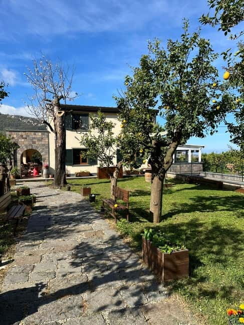 Sorrento: Mozzarella experience. Say CHEESE with us! - FAQ