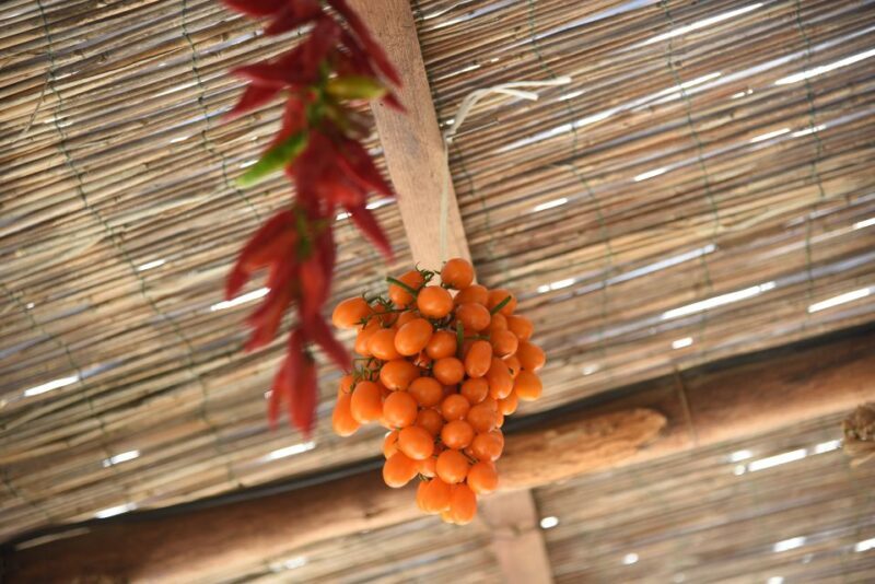 Sorrento: Pizza Lesson, Wine, and Limoncello at a Local Farm - The Scenic Return