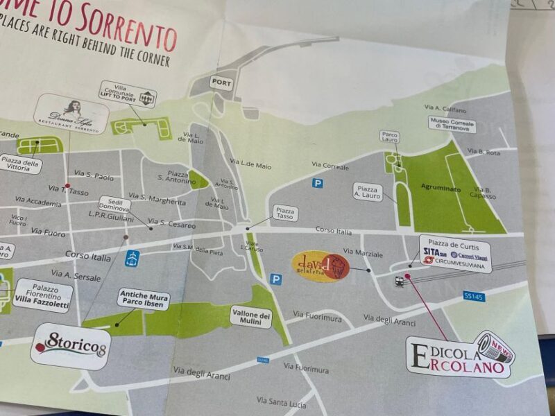 Sorrento: Skip-the-Line Pompeii Express Tour by Train - Key Points