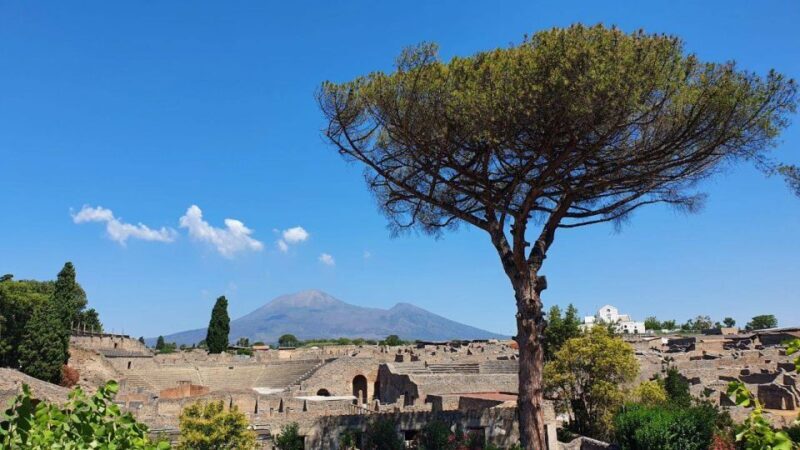 Sorrento: Skip-the-Line Pompeii Express Tour by Train - The Pros and Cons