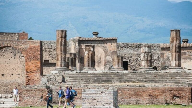 Sorrento: Skip-the-Line Pompeii Express Tour by Train - Experience Provider