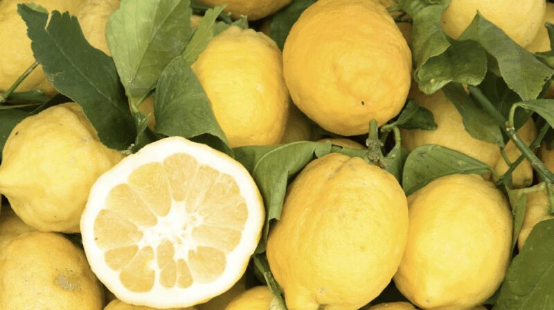 Sorrento: Walking Tour in Lemon Garden w/ Food Tasting - The Breakdown of the Tour: A Closer Look  