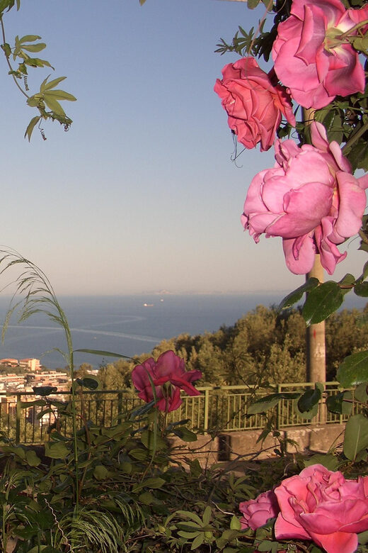 Sorrento: Walking Tour in Lemon Garden w/ Food Tasting - What to Expect from the Experience  