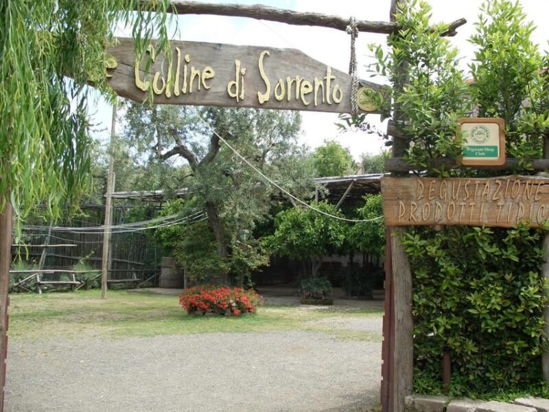 Sorrento: Walking Tour in Lemon Garden w/ Food Tasting - Final Thoughts  