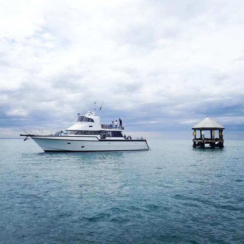 Sorrento,Mornington Peninsula: Wildlife & Sightseeing Cruise - Authentic Experiences from Reviews