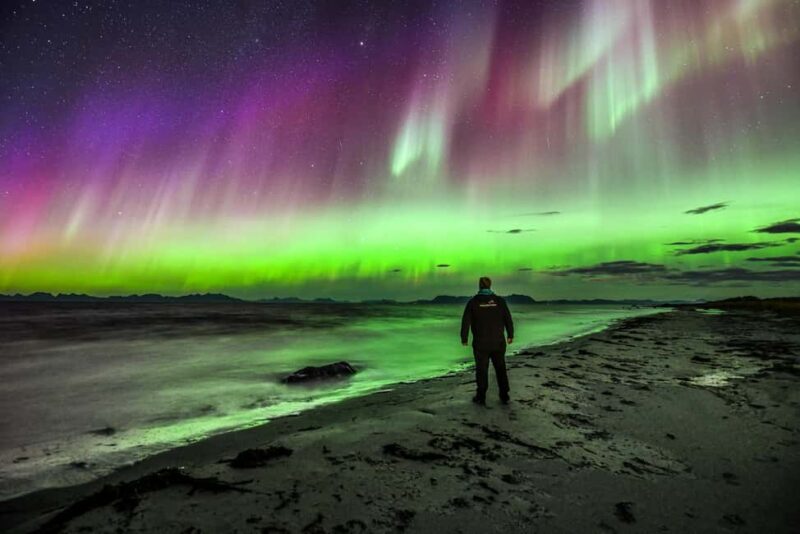 Sortland: Small Group Northern Lights Chase by Car - FAQ