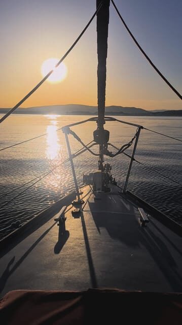 Sotogrande: Dolphin Watching Boat Trip with Drink - Who Should Consider This Tour?