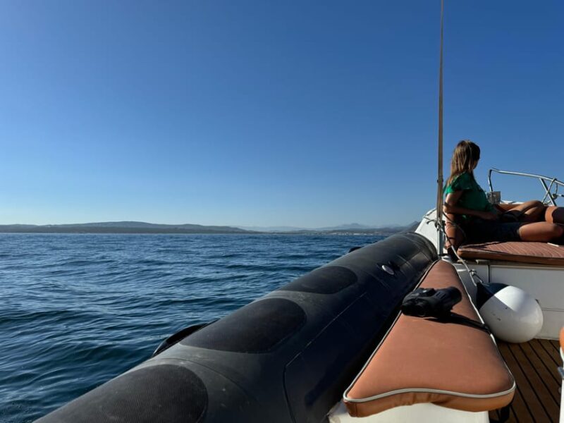 Sotogrande: Dolphin watching experience with expert crew - Final Thoughts