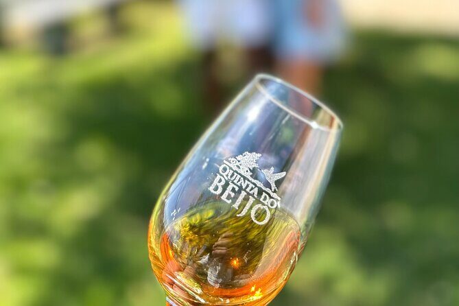 Soul & Excellence - PORT Wine Tasting - The Itinerary in Detail