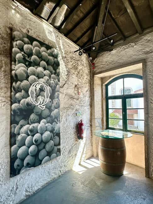 Soul of Portugal: an immersive experience of fado, wine, and tradition - Key Points