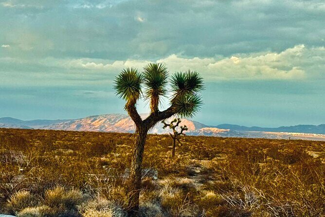 Soul Reconnection Retreat in Joshua Tree - What to Expect from the Soul Reconnection Retreat