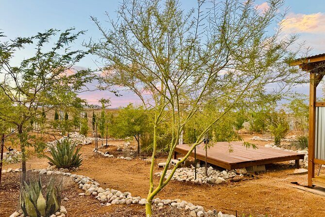 Soul Reconnection Retreat in Joshua Tree - The Sum Up