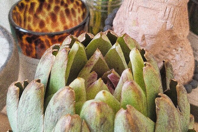 Soul Revitalization: Cacao Ceremony & Sound Healing in Mérida - The Sum Up