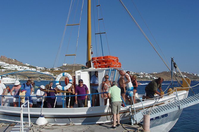 South Coast Cruise - The Experience on the Water