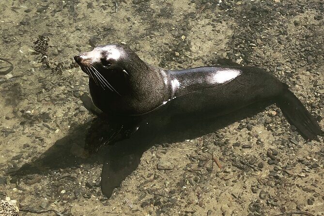 South Coast Nature Tour - An In-Depth Look at the South Coast Nature Tour