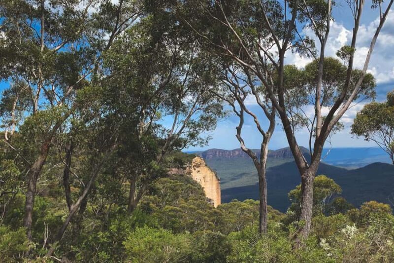 South Coast Private Charter - In-Depth Look at the Highlights