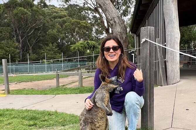 South Coast Private Daily Group Tour - Pick up & Drop off - Key Points