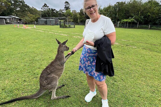 South Coast Private Daily Group Tour - Pick up & Drop off - Practical Details: What to Expect