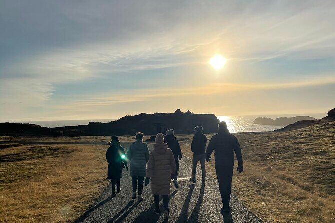 South Coast - Private Tour From Reykjavik. - FAQ