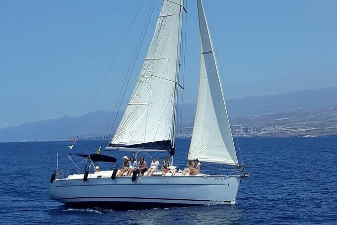 South Coast Tenerife Cruise - The Sum Up