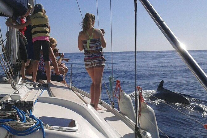 South Coast Tenerife Cruise - FAQ