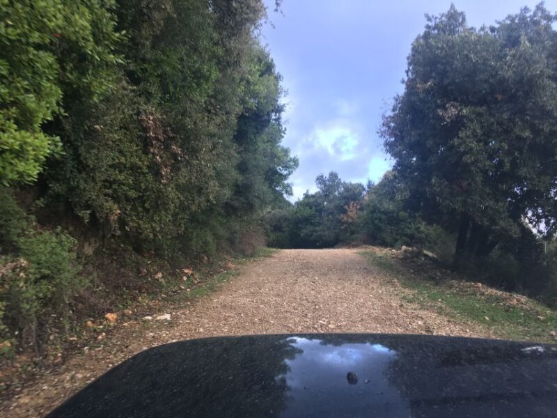South Corfu Premium 4x4: Villages, Views & Flavours - Who Is This Tour Best For?