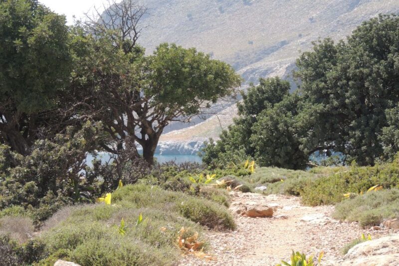 South Crete: Sarakinas Gorge Hike, Swim & Jeep Safari - Exploring the Itinerary in Detail