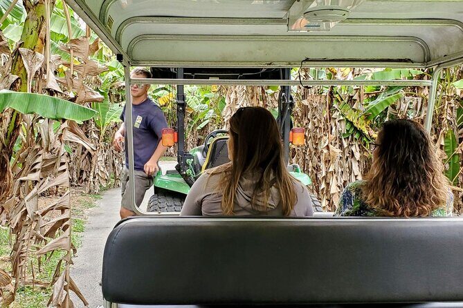 South Florida's Hidden Gems: Wine, Castle, & Tropical Fruits - Key Points