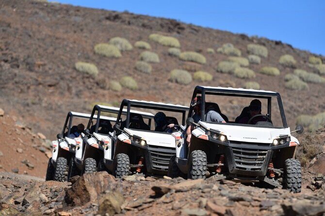 South Gran Canaria Buggy Tour - Key Points