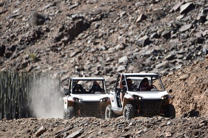 South Gran Canaria Buggy Tour - Practical Details: What You Need to Know