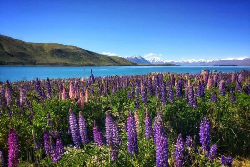 South Island Highlights: 9-Day New Zealand Adventure - Discovering the South Island: A Practical Overview