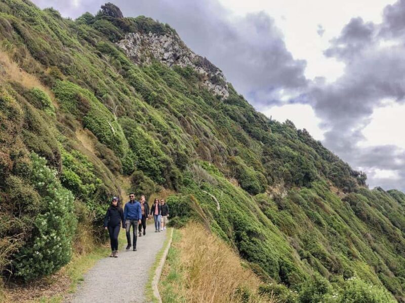 South Island Highlights: 9-Day New Zealand Adventure - Final Day and Reflections