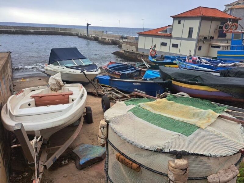 South Madeira: breathtaking coastal trip incl. Porto Moniz. - The Sum Up