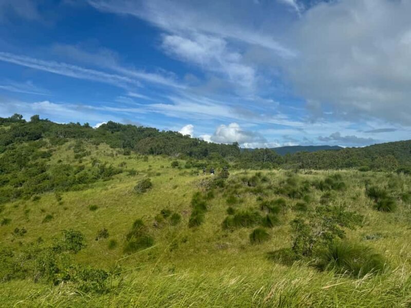 South Molle Island Self Guided Walking Tour - The Value and Who It’s Best For