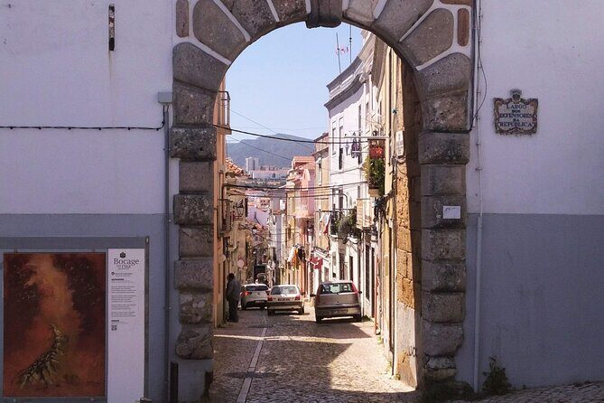 South of Lisbon : Local Market & Canned Sardines Factory Tour - The Sum Up