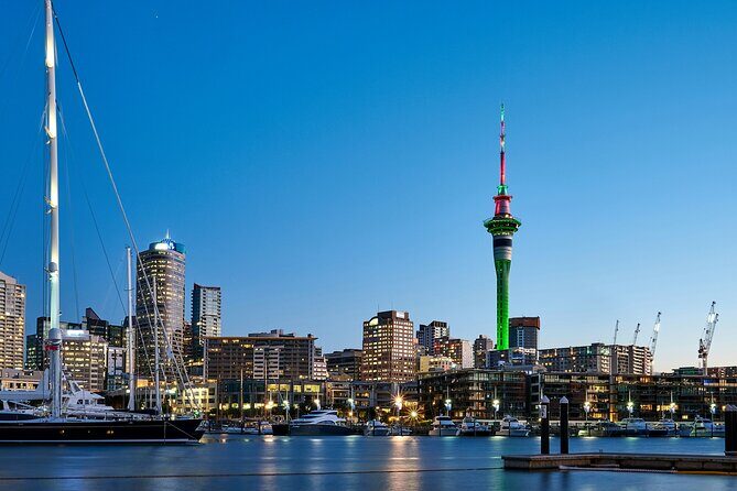 South of the City Half Day Auckland Tour with Luxury Transport - Who Will Love This Tour?